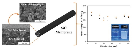 Membranes | Free Full-Text | Ceramic Processing of Silicon Carbide ...